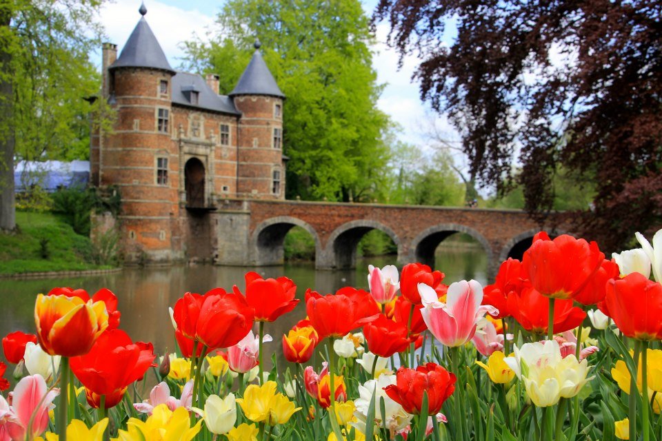 Floralia - Receita de Viagem - Receita de Viagem